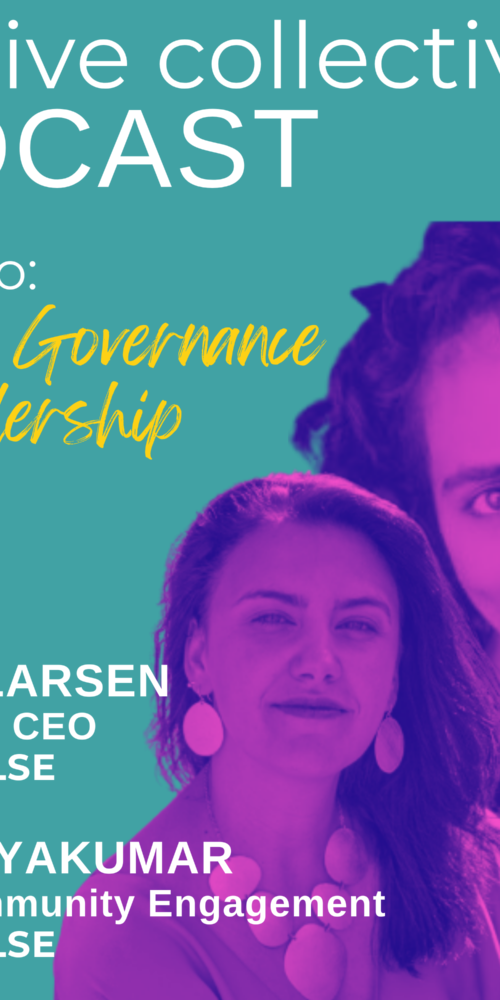 The Hive Collective - Strategy and Board Governance